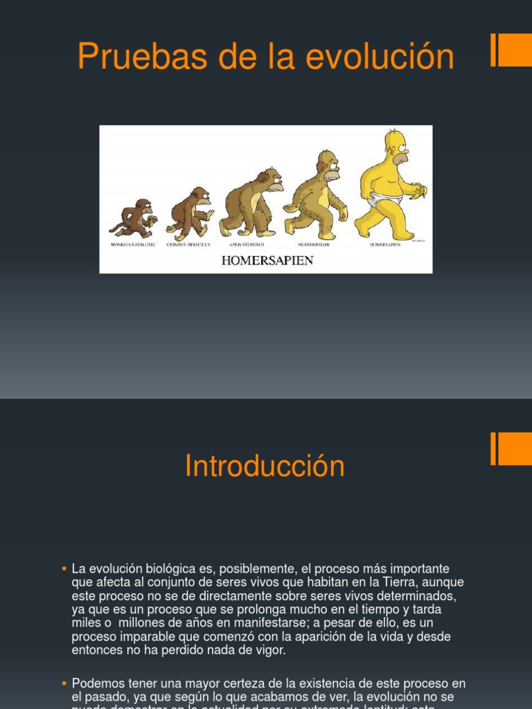 Pruebas de La Evolución PD4 BIOLOGIA | PDF | Evolución | Organismos