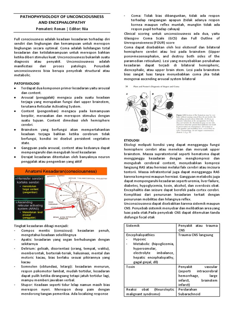 Pathophysiology of Unconsciousness & Encepalopathy PDF | PDF