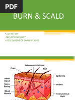 Understanding Putrefaction in Forensics | PDF | Burial | Decomposition