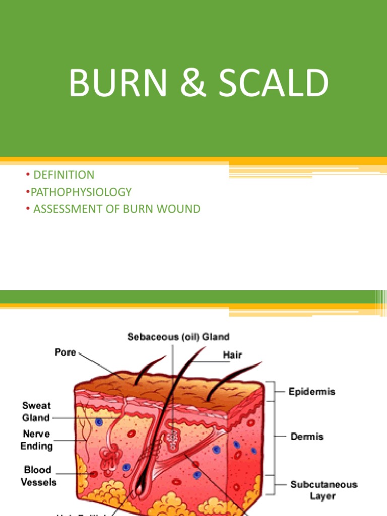 Burn & Scald: Pathophysiology Assessment of Burn Wound | PDF | Burn | Skin