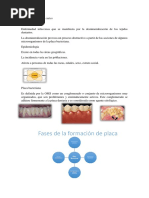 Etapas y Grados de Caries PDF | PDF | Diente | Odontología