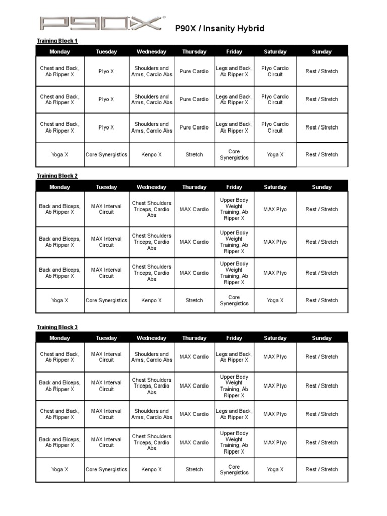 P90X Insanity Hybrid | PDF