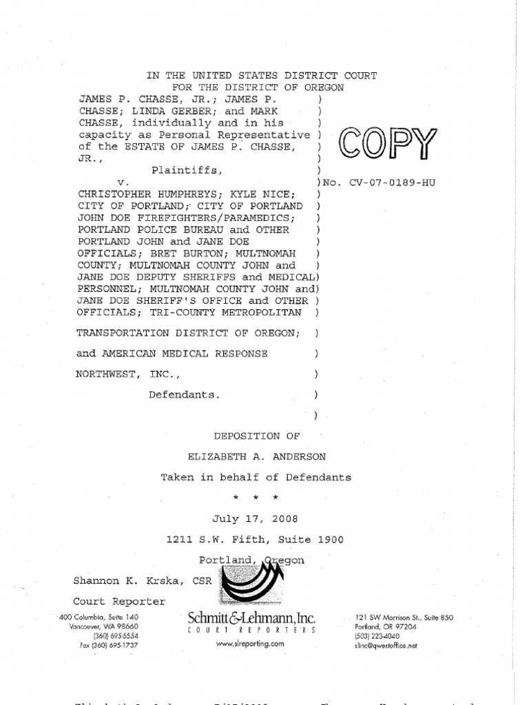 Schrmtt&Lehmann, Inc.: Court Reporters | PDF | Deposition (Law ...