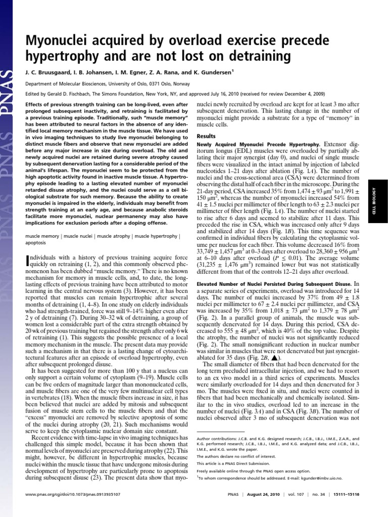Myonuclei Retention After Overload Training | PDF | Muscle | Cell Nucleus