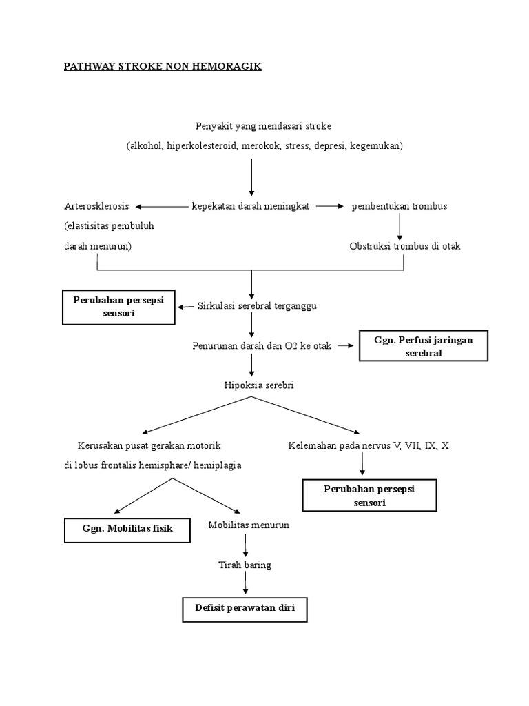 Pathway Stroke Non Hemoragik | PDF
