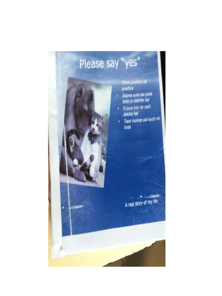 Pls Say Yes Ok | PDF