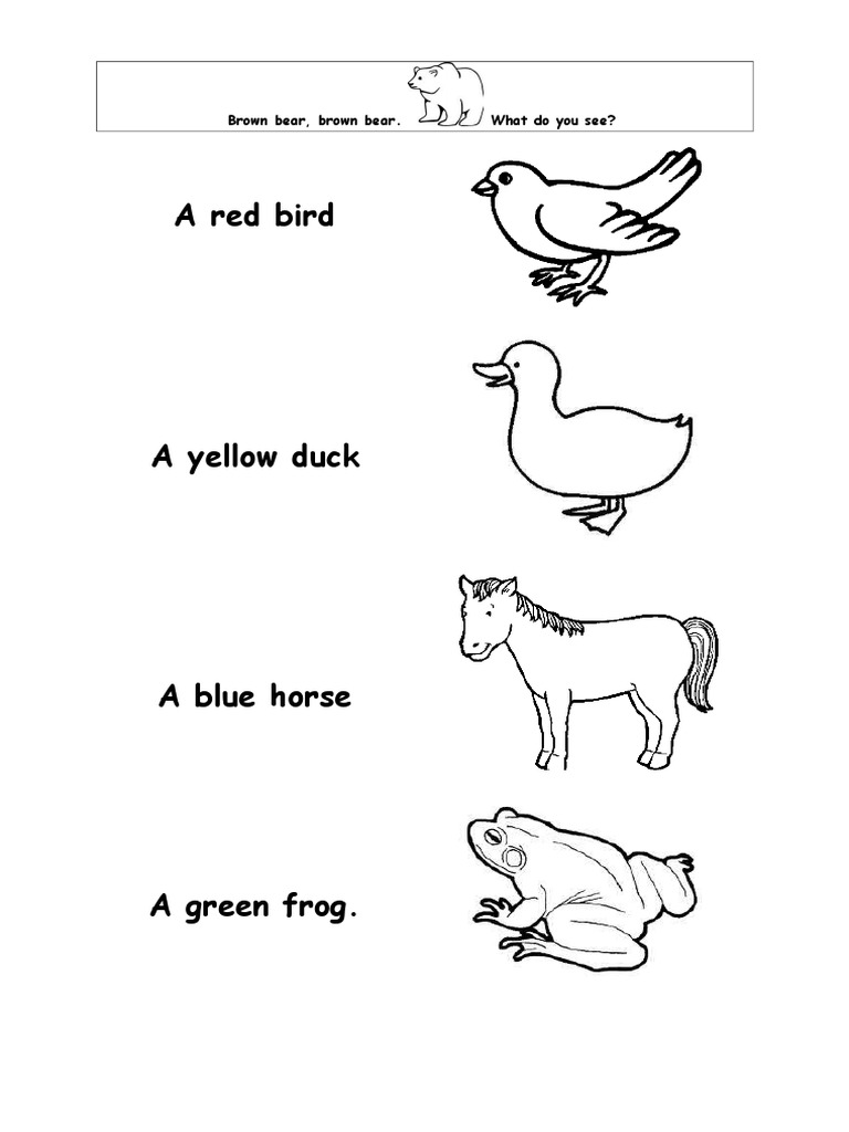 Brown Bear Colouring | PDF | Nature