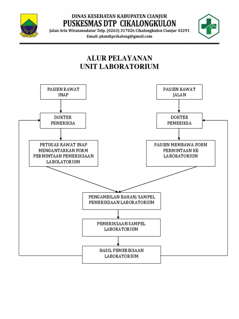 Alur Pelayanan Lab | PDF