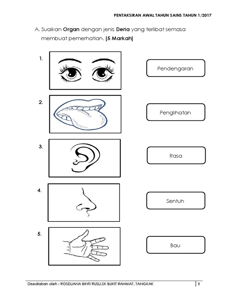 Latihan Sains Tahun 1 | PDF