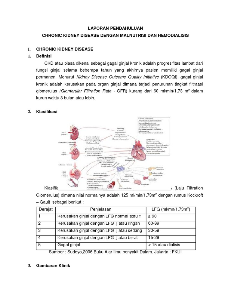 LP CKD Malnutrisi | PDF
