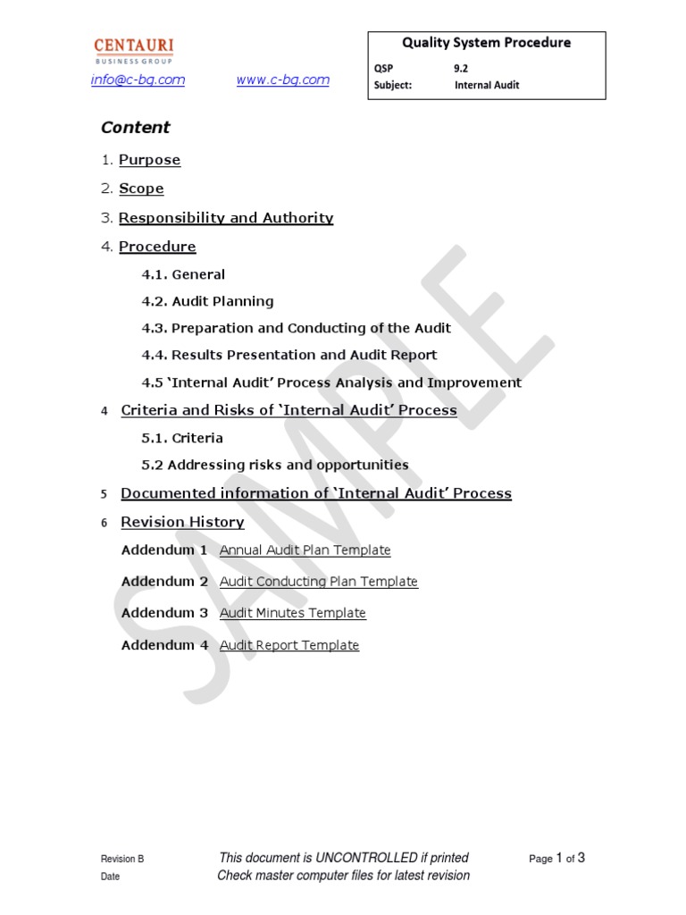 QSP 9 2 Internal Audit Preview | PDF | Internal Audit | Audit