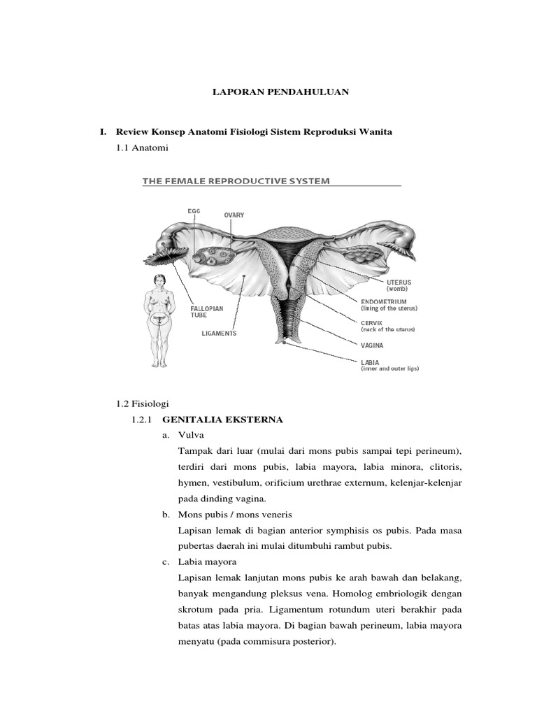 LP Abortus Kompletus | PDF