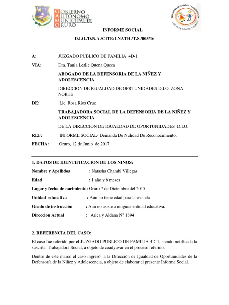 Informe Social | PDF | Trabajo Social | Sicología