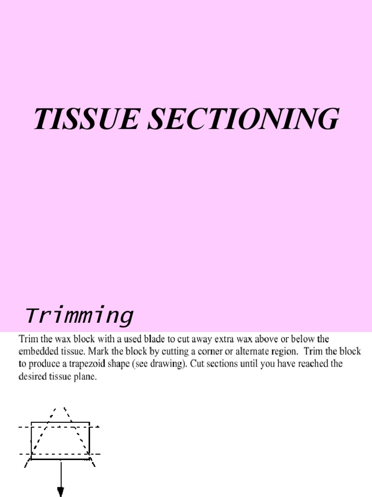 Tissue Sectioning & Cutting | PDF | Knife | Materials