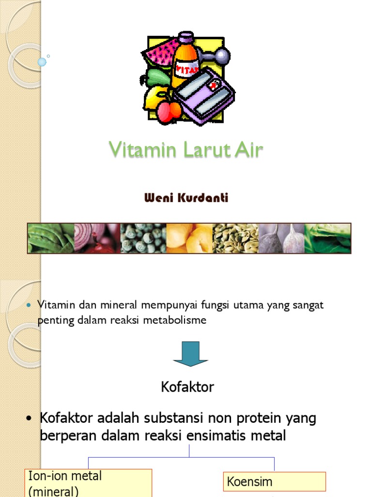 Vitamin Larut Air | PDF