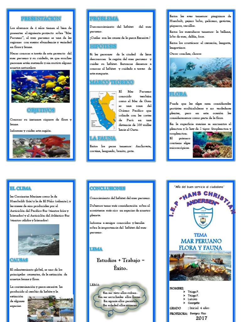 TRIPTICO Mar Peruano | océano Pacífico | Perú