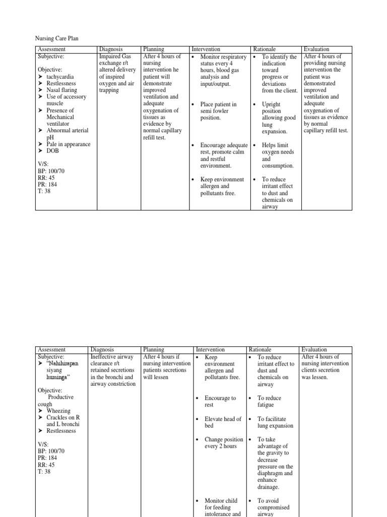 NCP.docx | Respiratory Tract | Lung