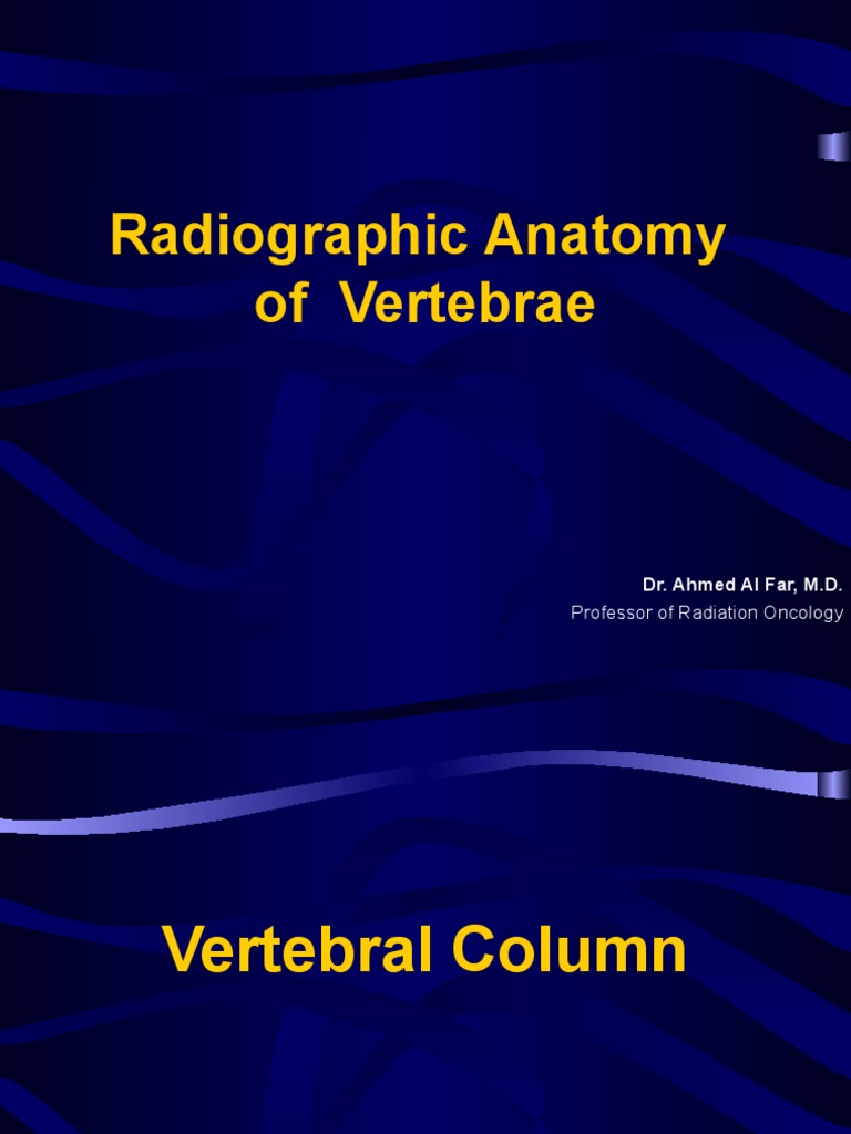 Radiographic Anatomy of Vertebrae | PDF | Vertebra | Vertebral Column