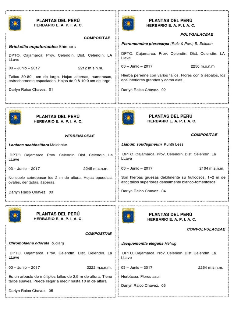 Rotulo | PDF | Botánica | Plantas