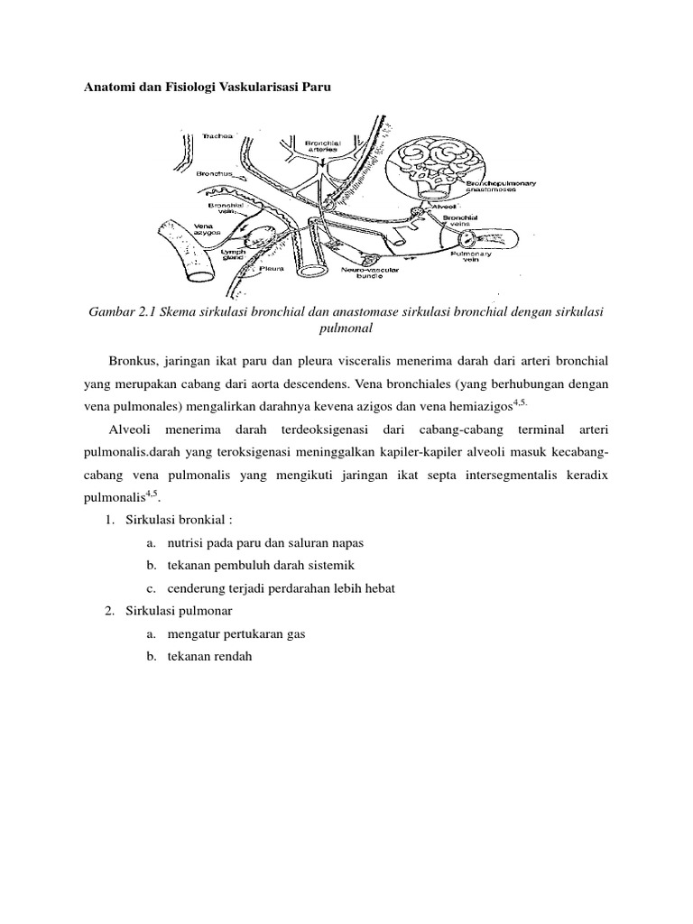Anatomi Dan Fisiologi Vaskularisasi Paru | PDF