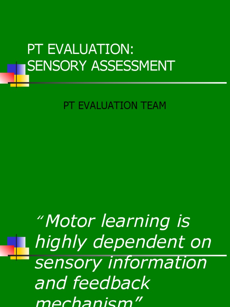 Sensory Assessment Protocols in PT | PDF | Perception | Somatosensory ...