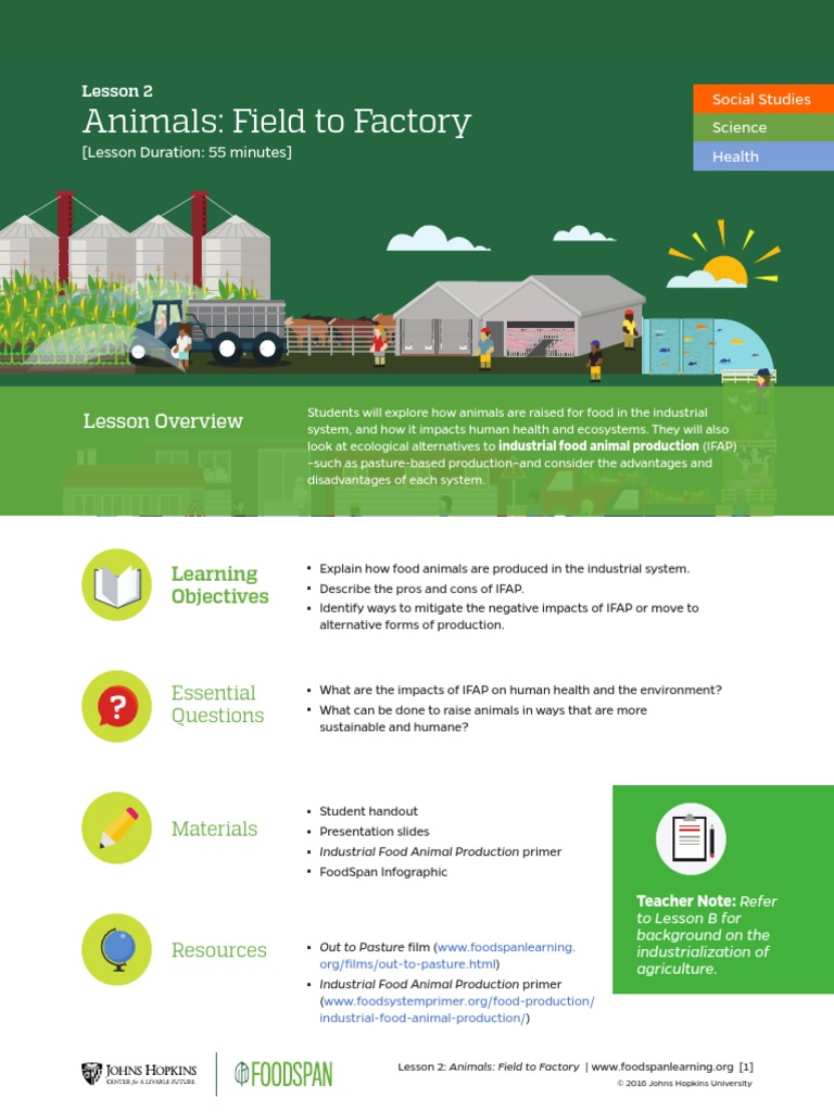 Lesson2 Animals Lessonplan | PDF | Meat | Foods