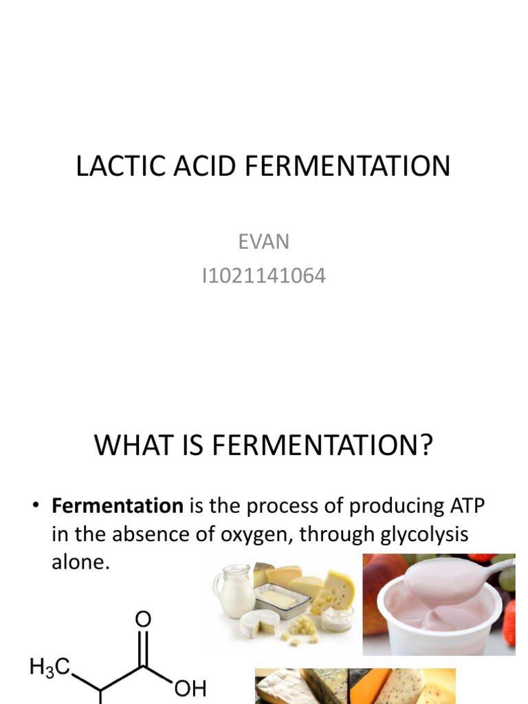 Lactic Acid Evan I1021141064 | PDF