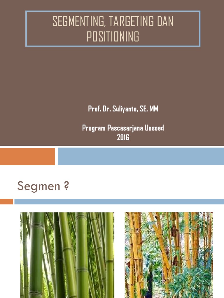 Dege Indo Apa Itu Segmentasi Targeting Positioning