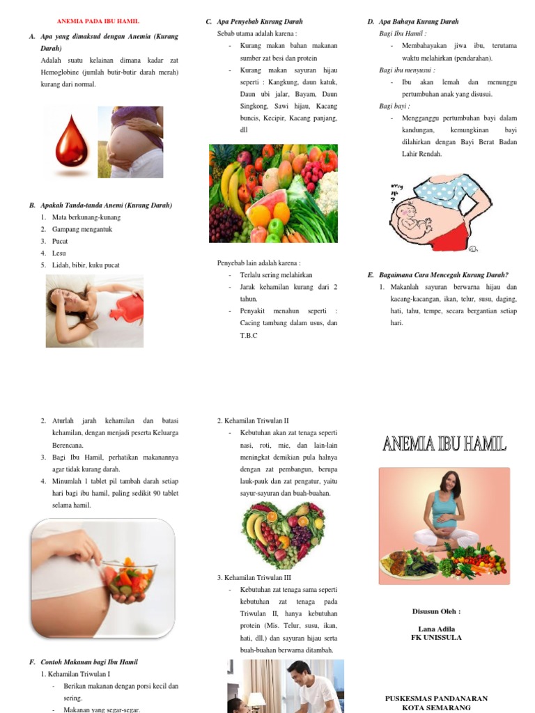 Leaflet Anemia | PDF