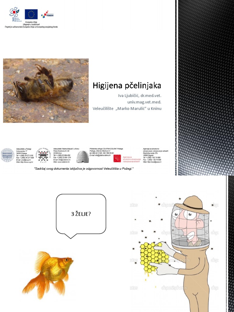 Higijena Pčelinjaka PDF | PDF