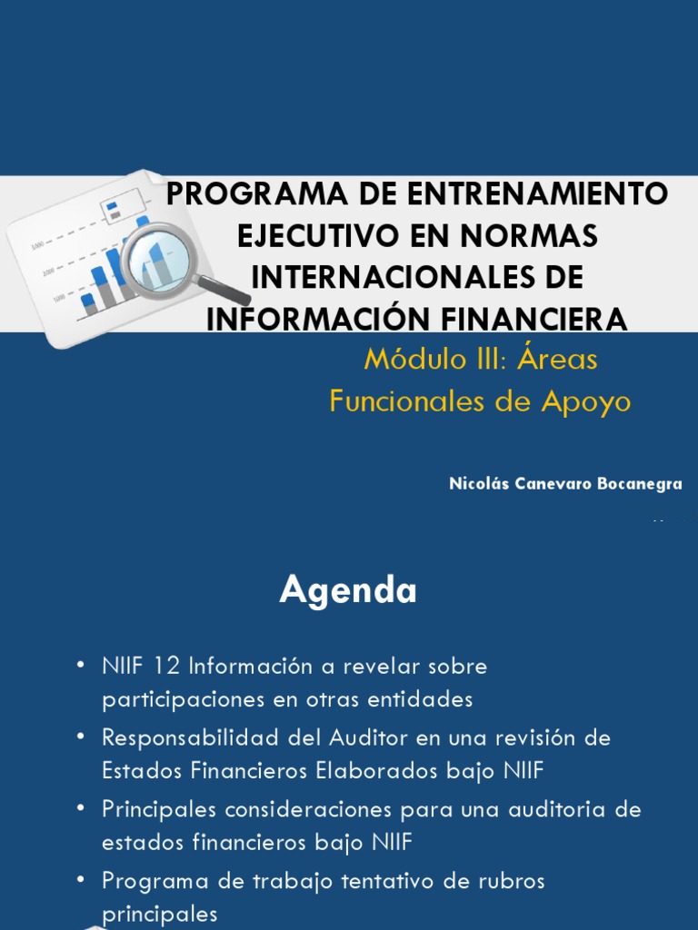 NIIF 12 y Auditoria.pdf | normas internacionales de INFORMACION ...