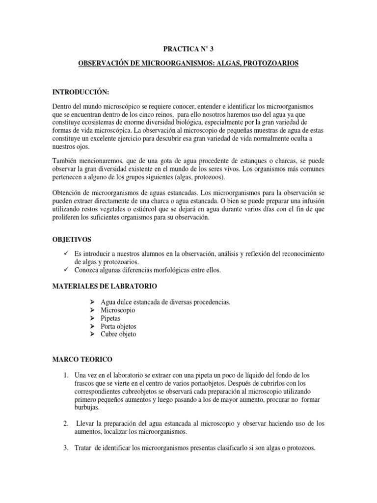 Practica #3 | PDF | Algas | Protozoos