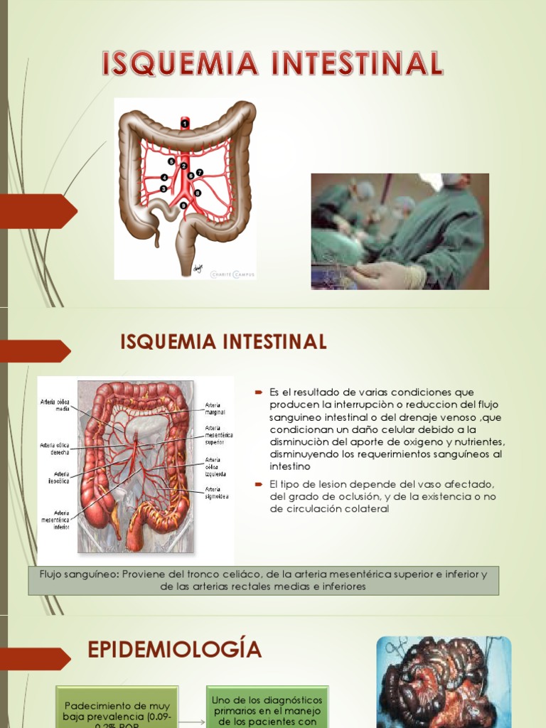 Isquemia Mesenterica Expo | PDF | Isquemia | Trombo