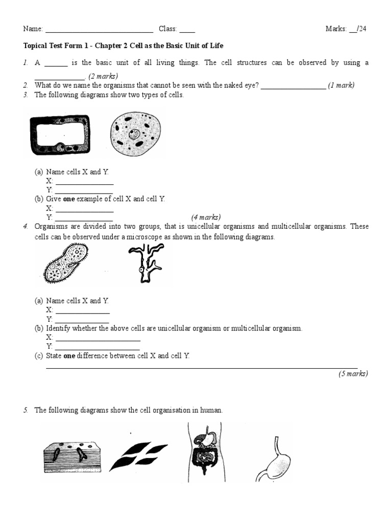 Topical Test Form 1 - Chapter 2 Cell As The Basic Unit of Life | PDF ...