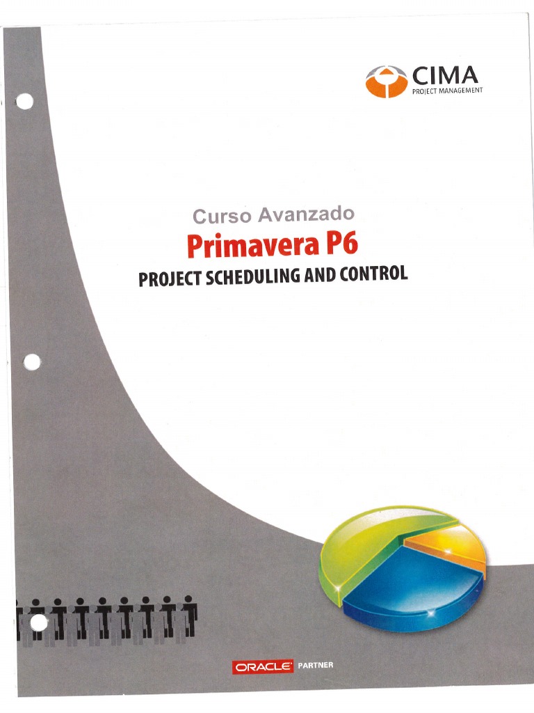 Primavera P6 Avanzado | PDF