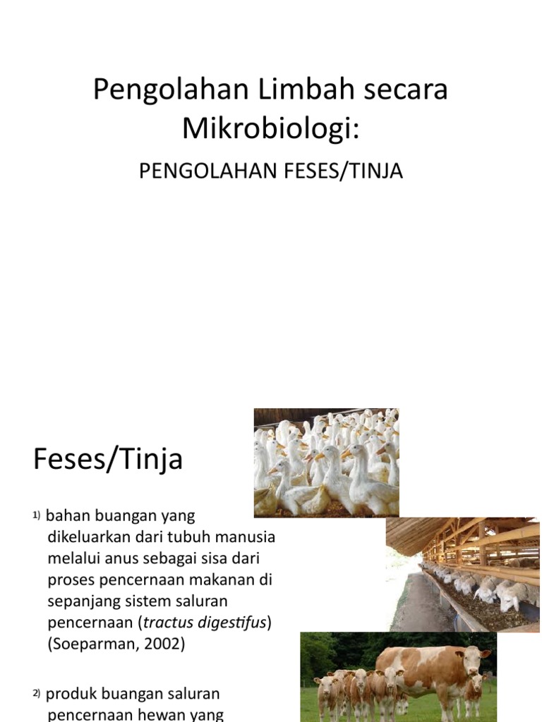 Pengolahan Limbah Feses 2014 | PDF | Sains & Matematika | Teknologi ...