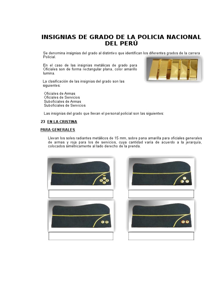 Insignias de Grado de La PNP | PDF | Oficial general | Coronel