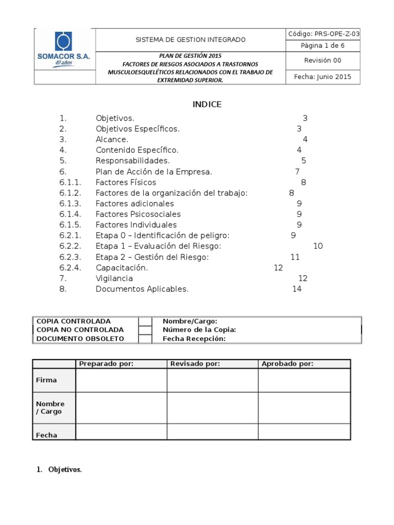 Plan de Gestion TMERT EESS | PDF | Músculo | Salud y bienestar