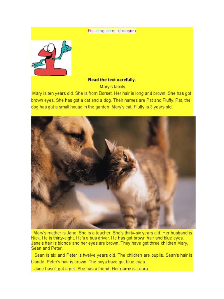 Reading Comprehension Exercise | PDF | Mystery, Thriller & Crime Fiction