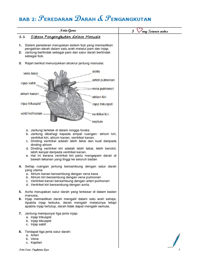 Sains t3 Bab 2 - Peredaran Darah Dan Pengangkutan (Nota Ringkas) | PDF