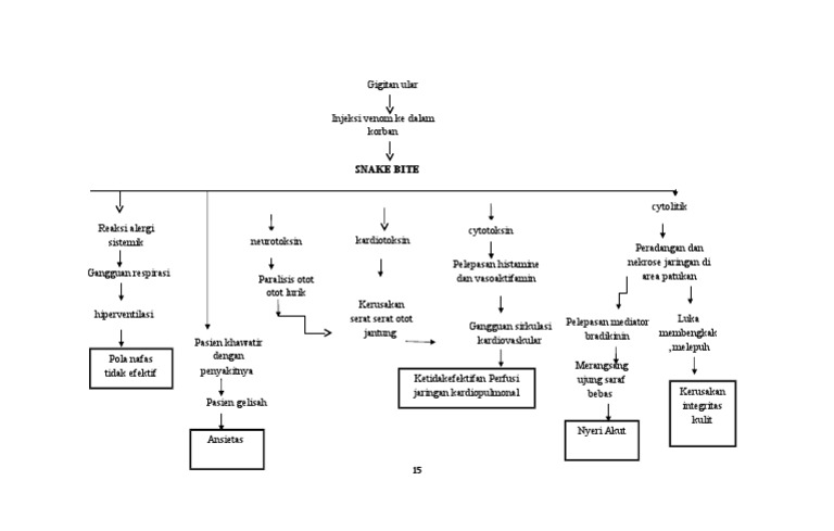 Woc Snake Bite | PDF