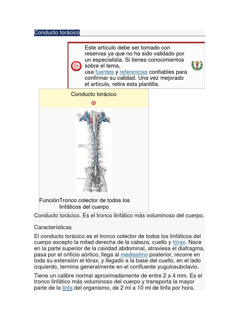 Conducto torácico.docx | Anatomía | Anatomía humana