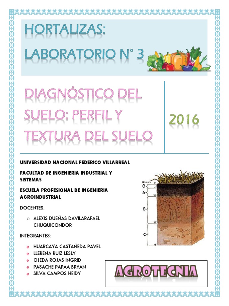 Lab #3 | PDF | Ciencia del suelo | Materiales naturales