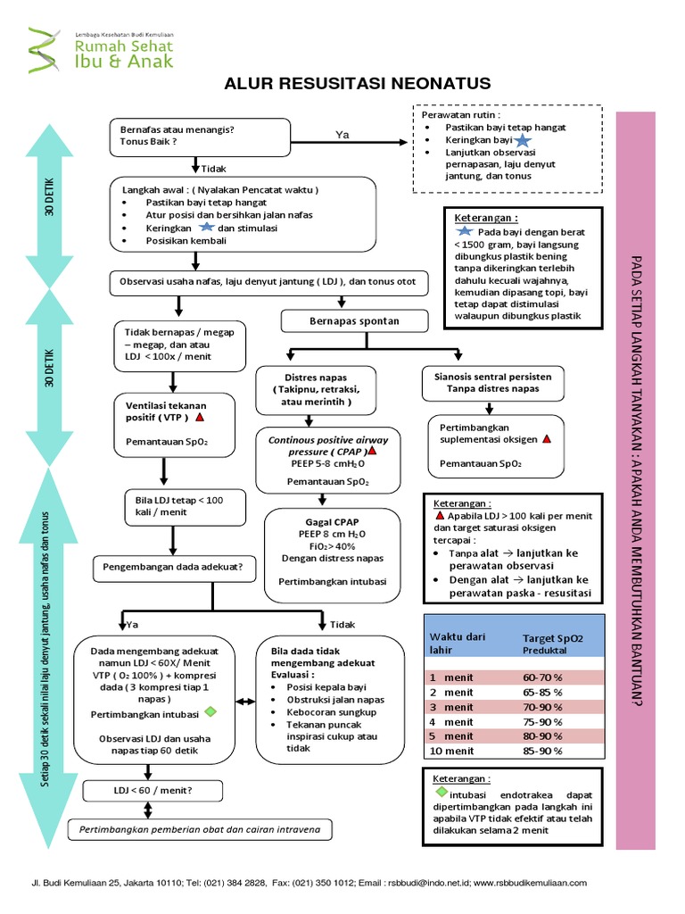 Alur Resusitasi Neonatus 2014