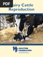 Cattle Reproductive System Overview | PDF | Luteinizing Hormone ...