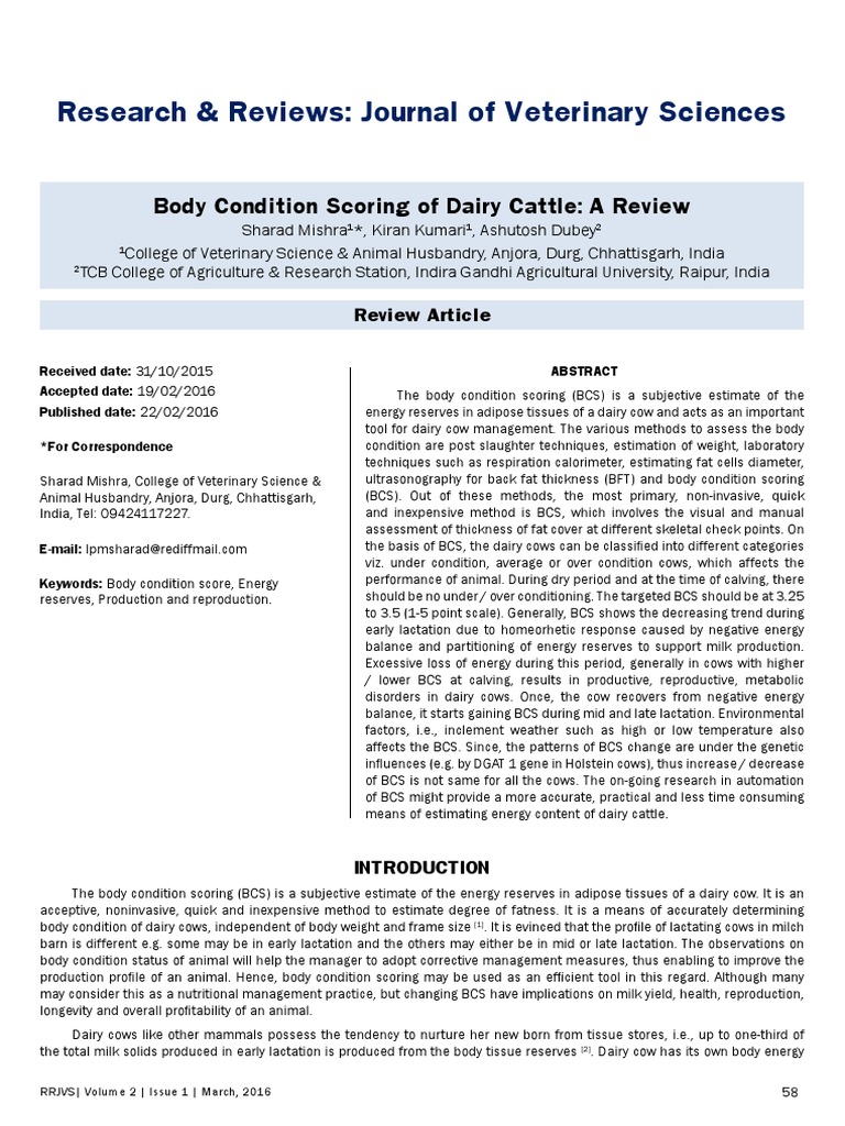 Body Condition Scoring of Dairy Cattle A Review - 2 PDF | PDF | Dairy ...
