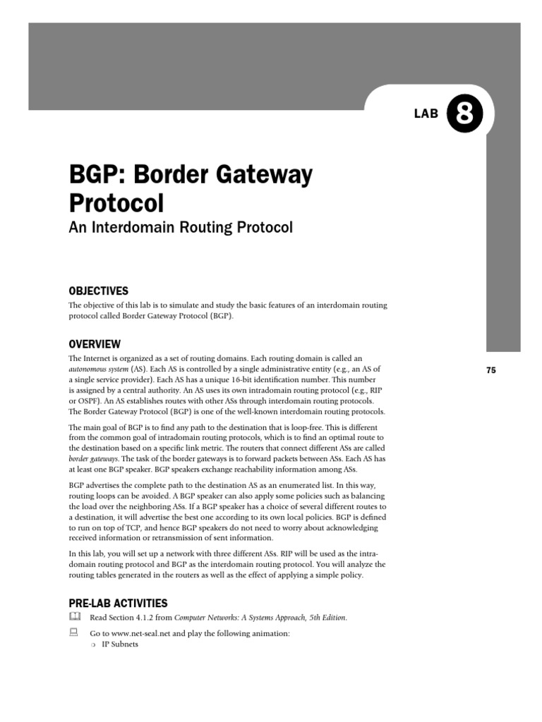 BGP: Border Gateway Protocol: An Interdomain Routing Protocol | PDF | Routing | Ip Address