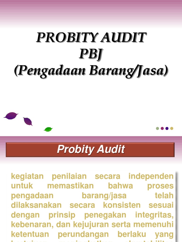 Probity Audit PBJ | PDF