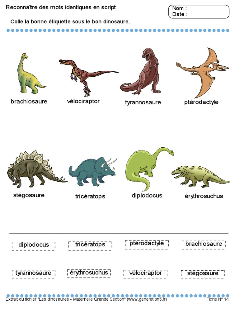 Lecture Dinosaure | PDF