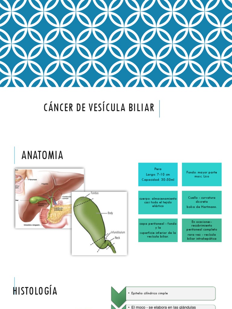 Cáncer de Vesícula Biliar | Vesícula biliar | Hígado